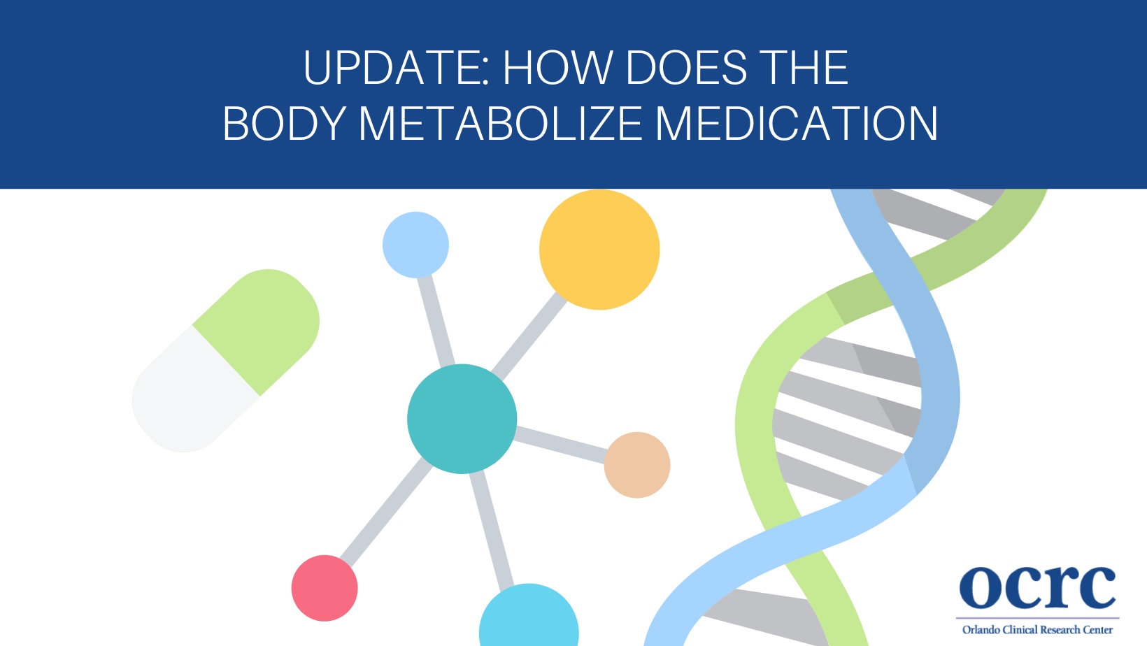 How Does The Body Metabolize Medication?