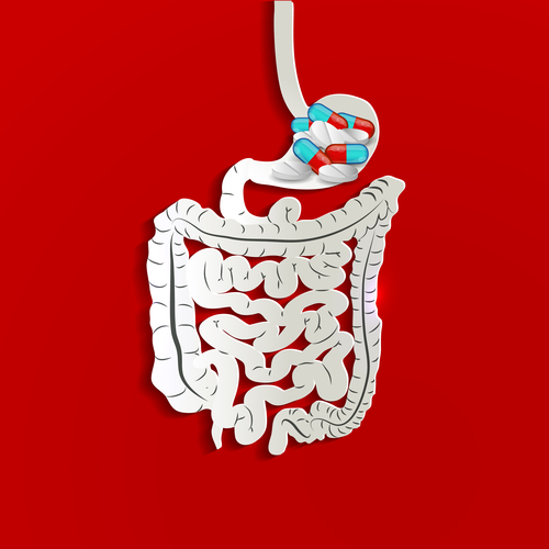 How Does The Body Metabolize Medication?