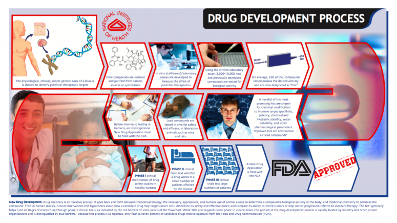 A Deeper Look at The Drug Development Process