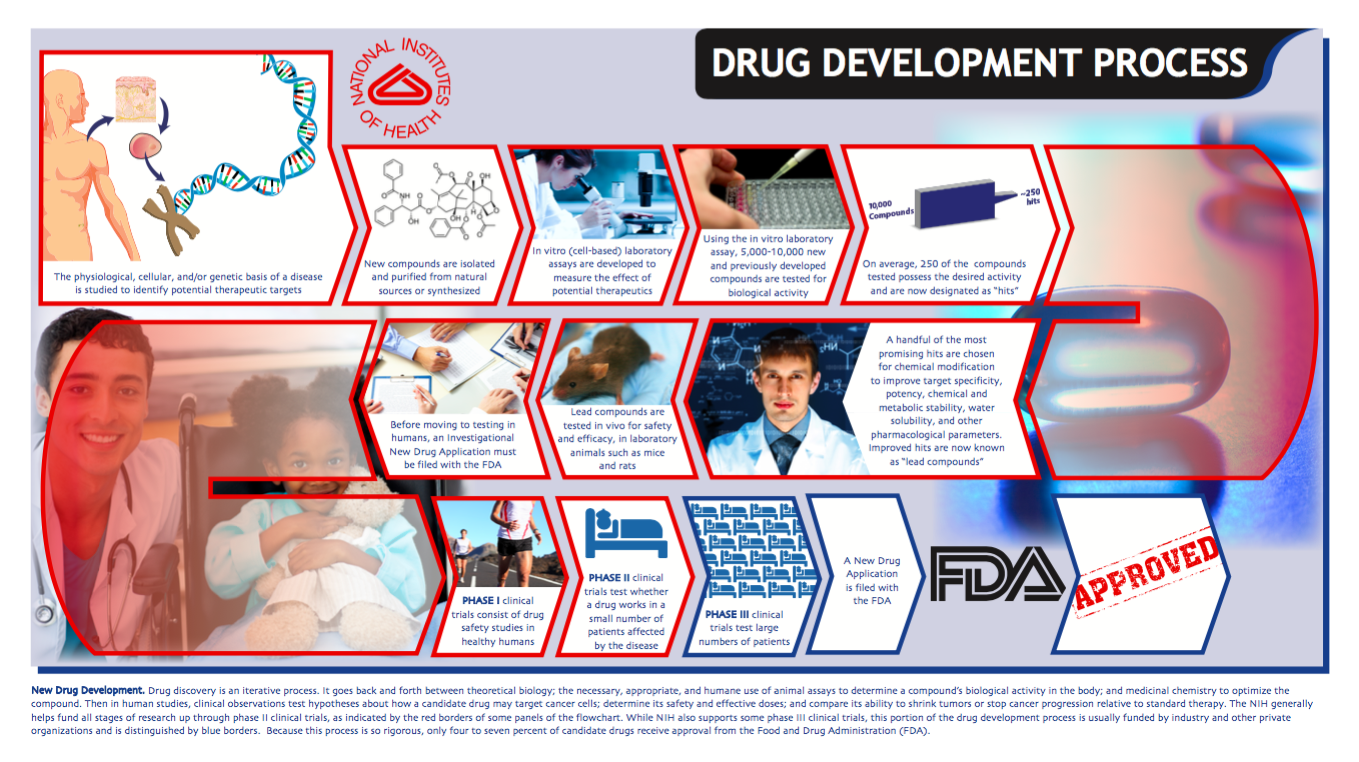 A Deeper Look at The Drug Development Process