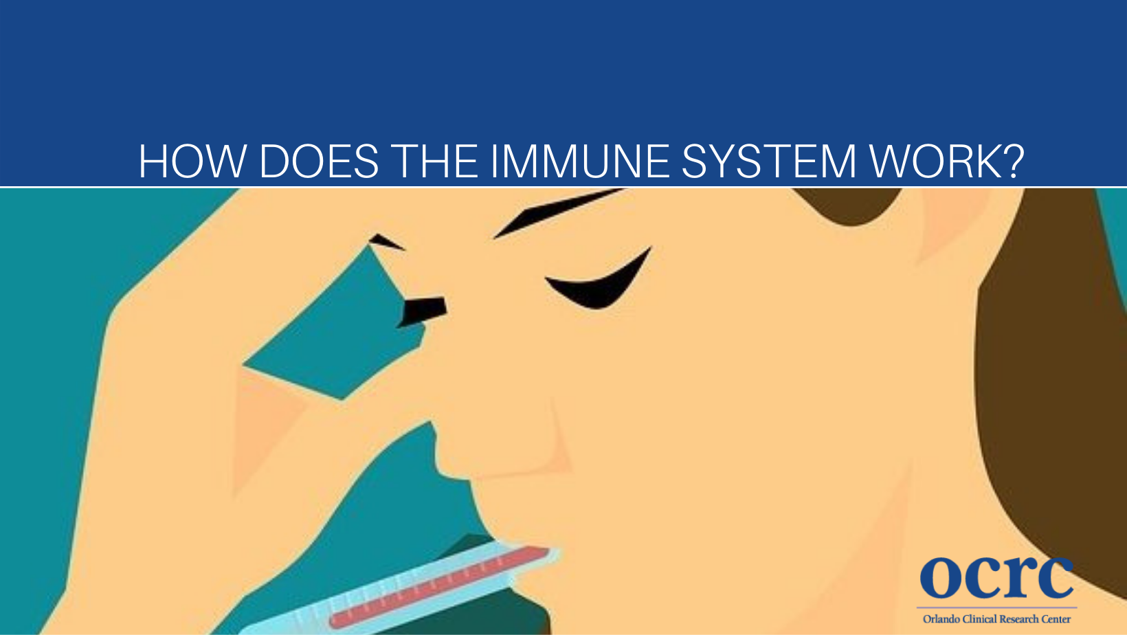 How Does the Immune System Work?