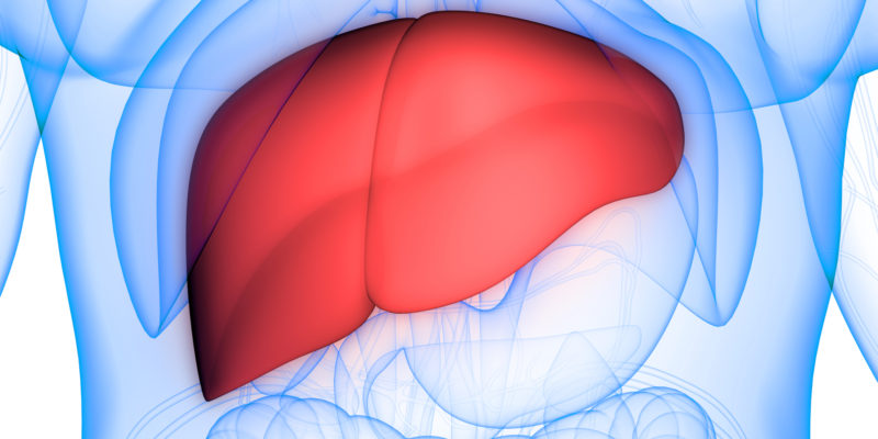 What Are The Four Stages Of Liver Disease What Are The Four Stages Of Liver Disease