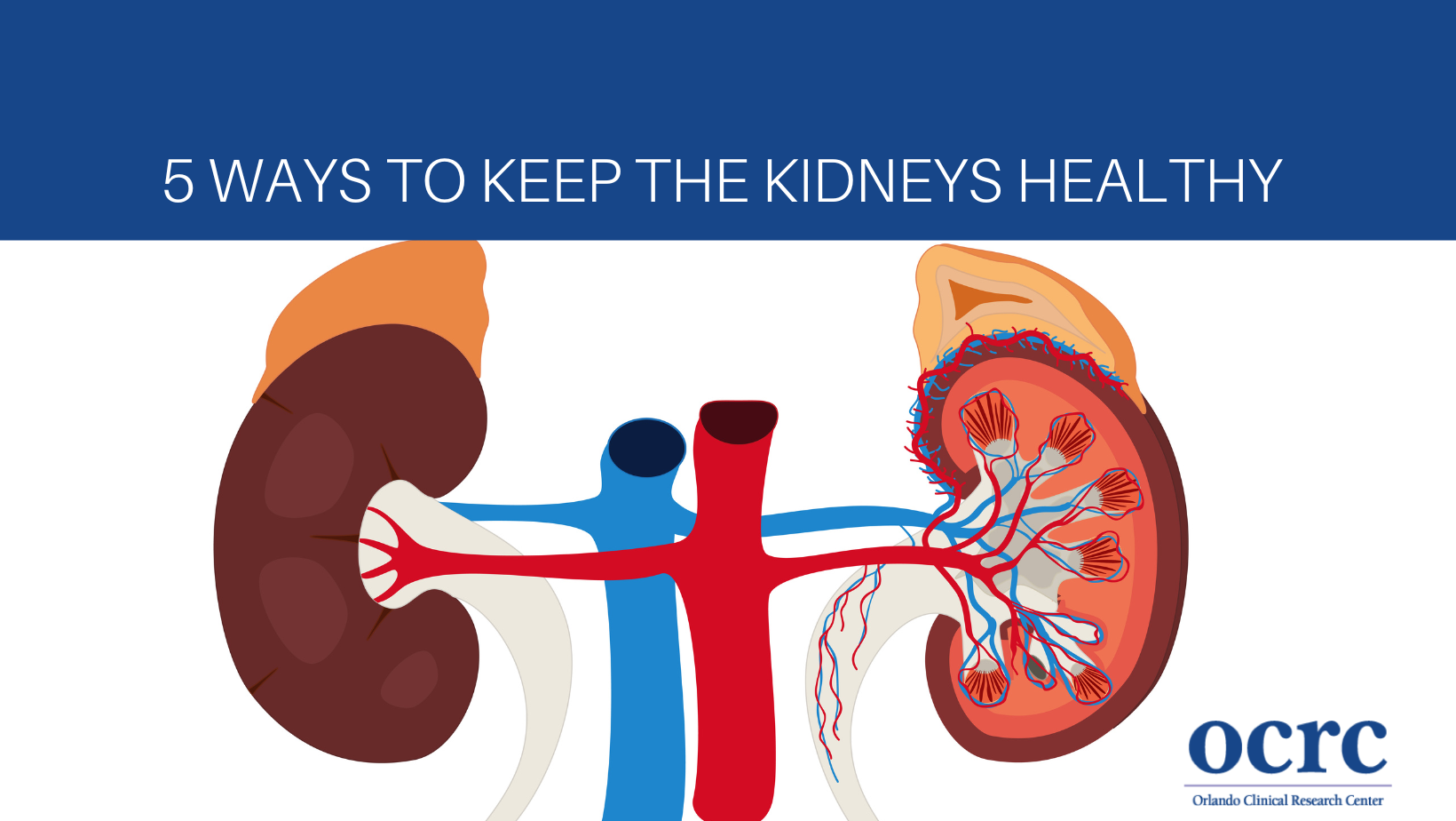 Keeping Kidneys Strong